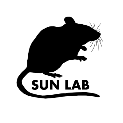 Sun Laboratory