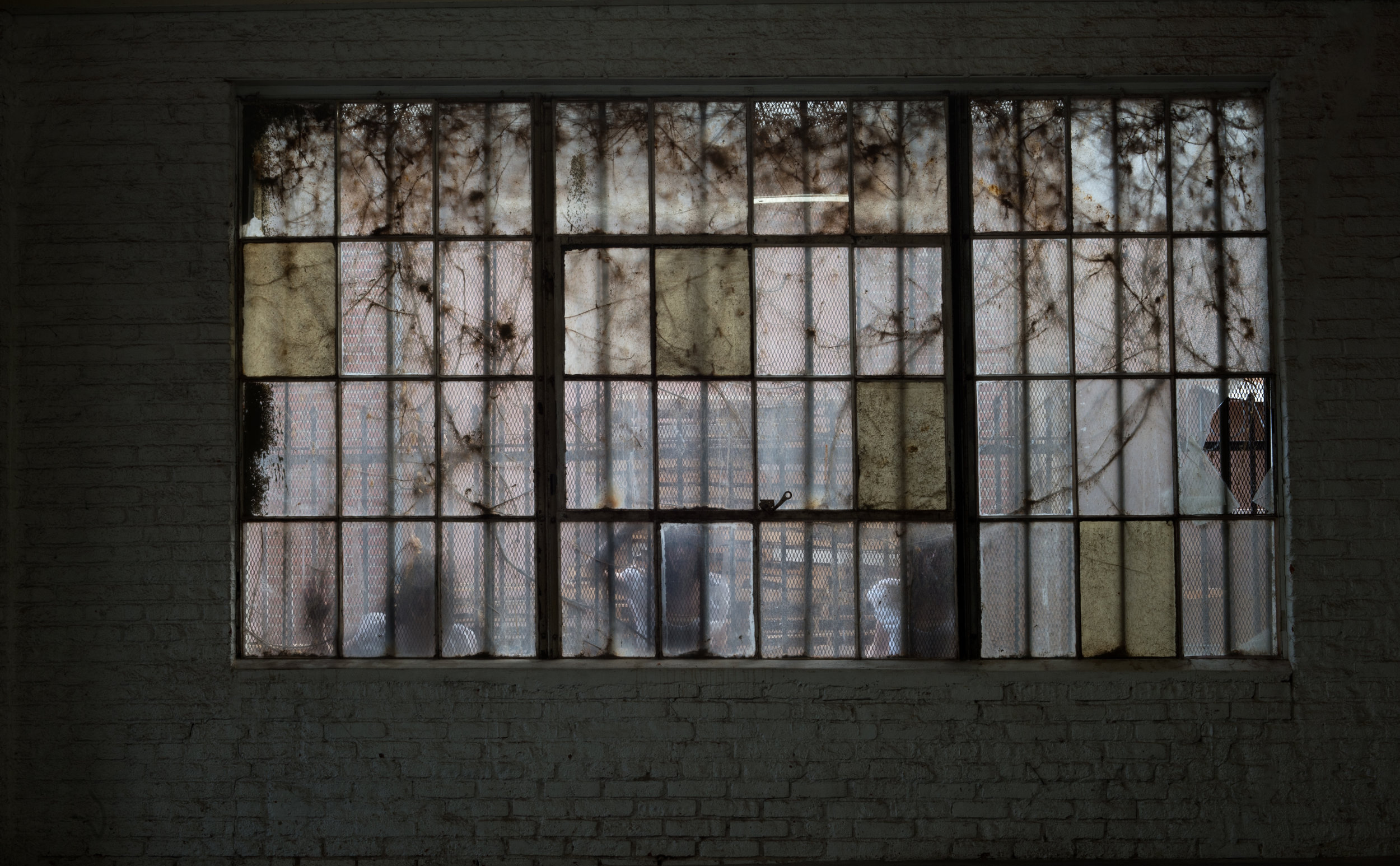 Devoid — MIKHAIL GOLDENBERG