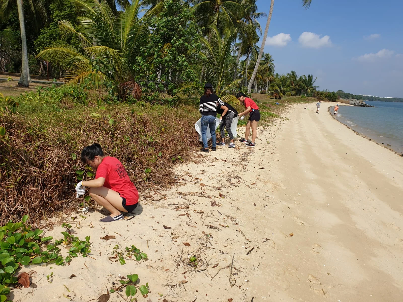 Coastal Cleanup @ Pasir Ris Park — Blossom World Society