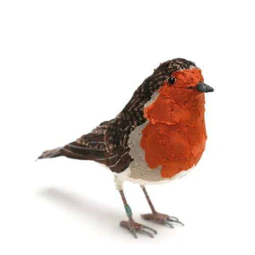 ROBIN — abigail brown