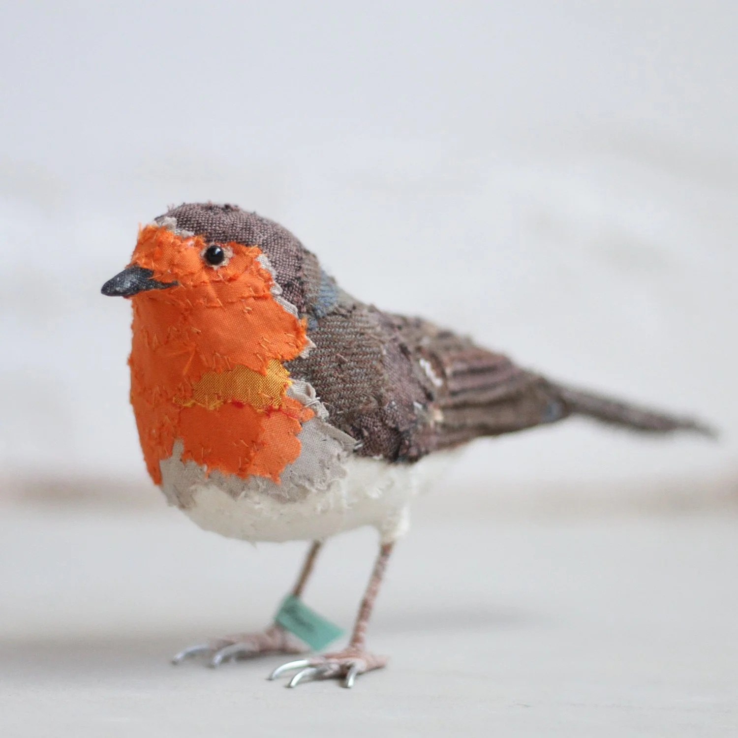 ROBIN — abigail brown