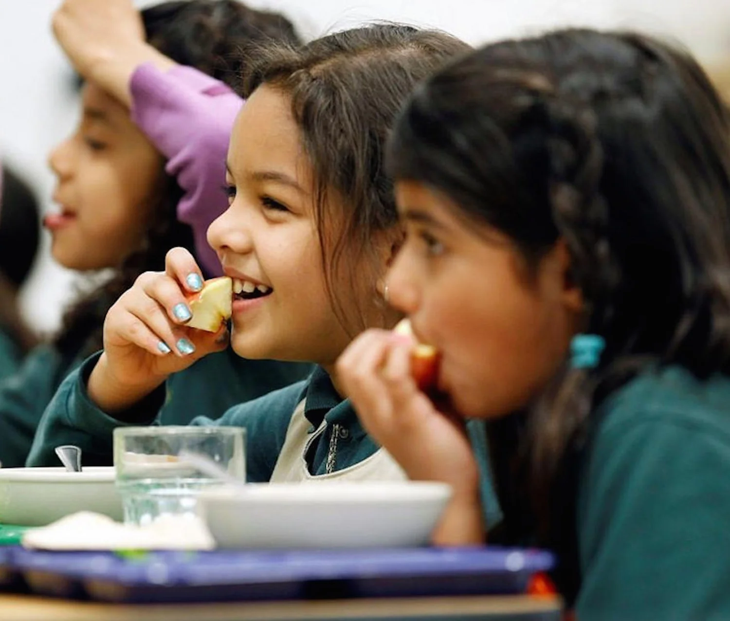 Hunger and Food Security Resources — Food Connects