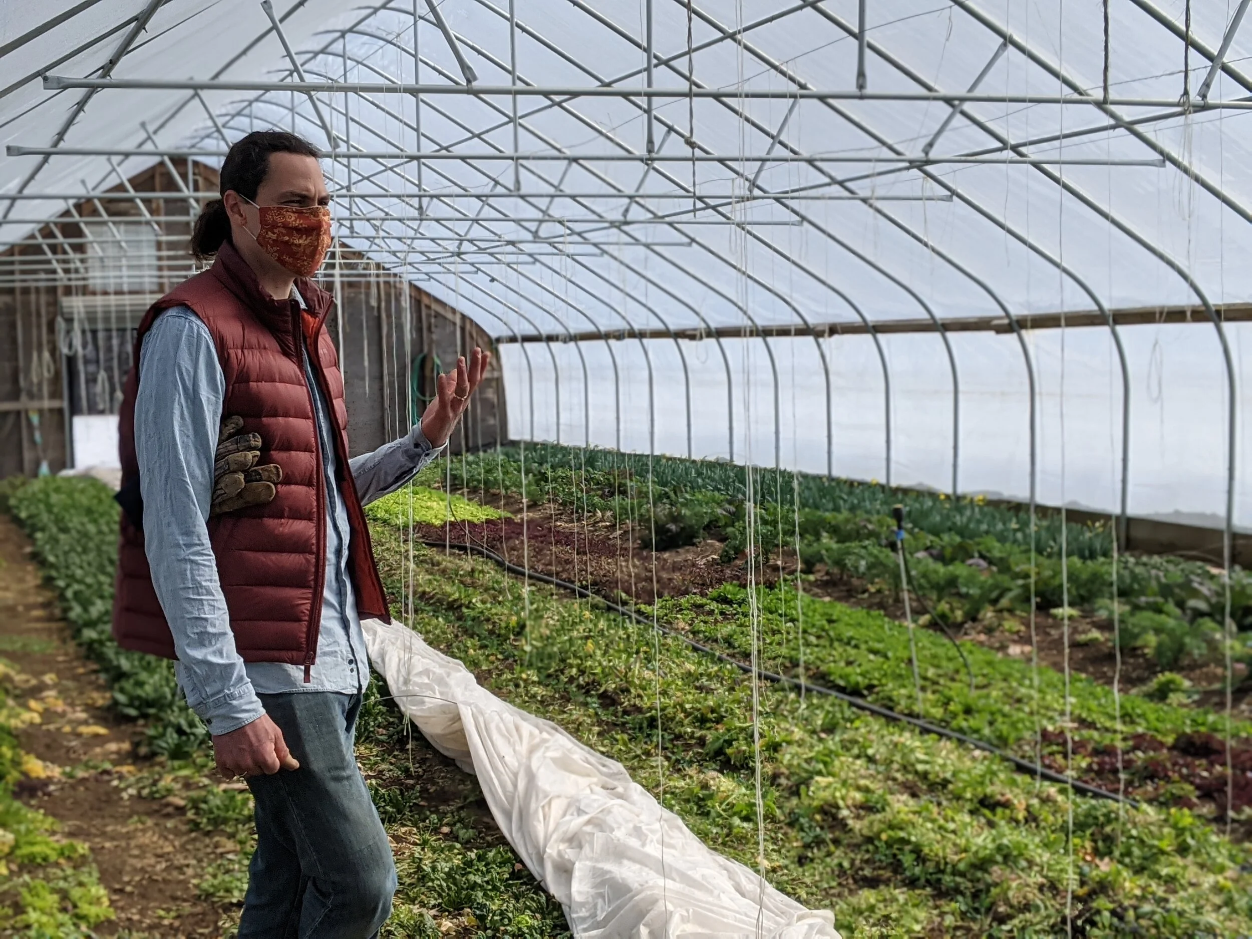 Greenhouses Transform Into Outdoor Classrooms — Food Connects