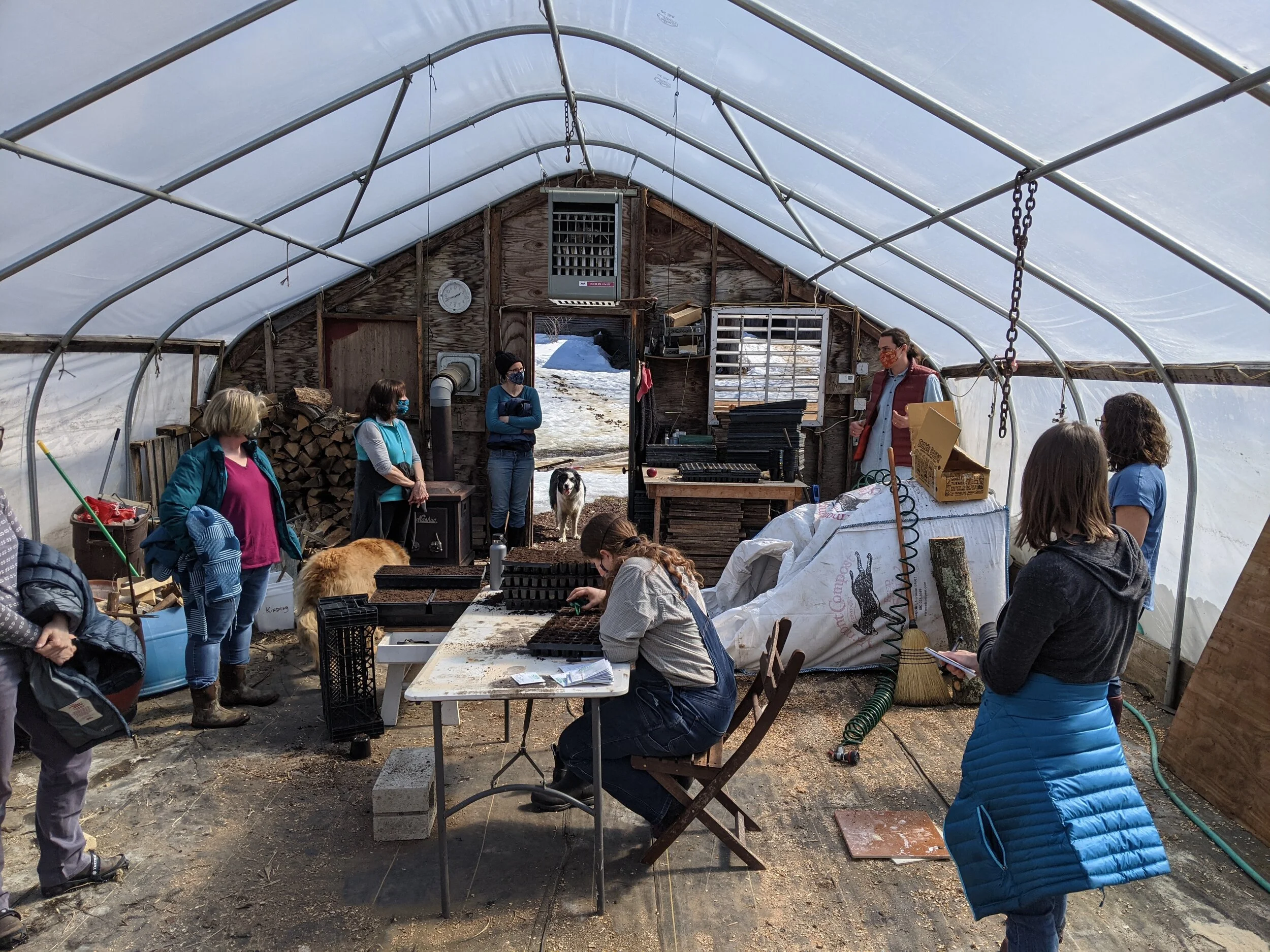 Greenhouses Transform Into Outdoor Classrooms — Food Connects