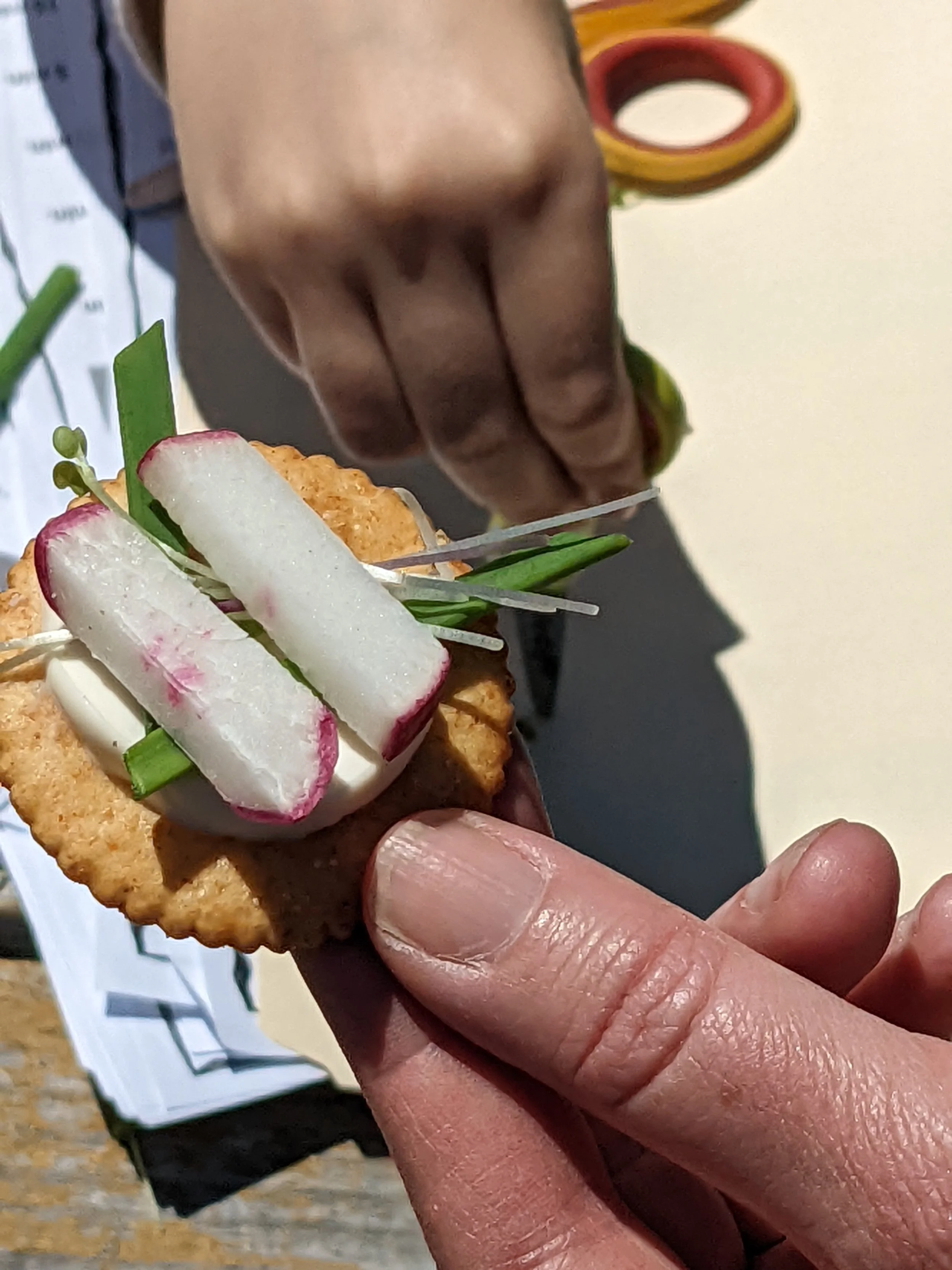 Amy Duffy is named Farm to School Champion! — Food Connects