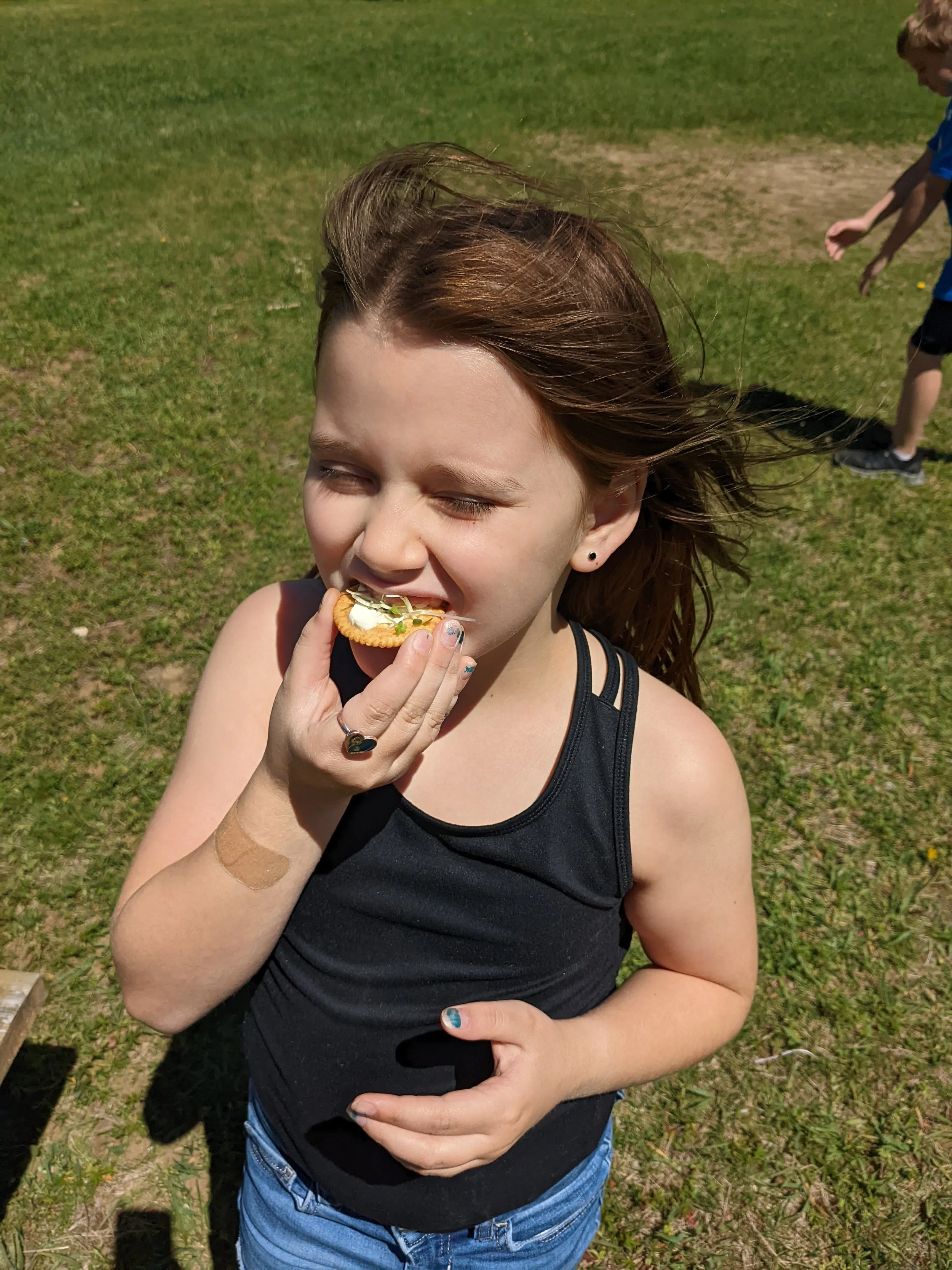 Amy Duffy is named Farm to School Champion! — Food Connects