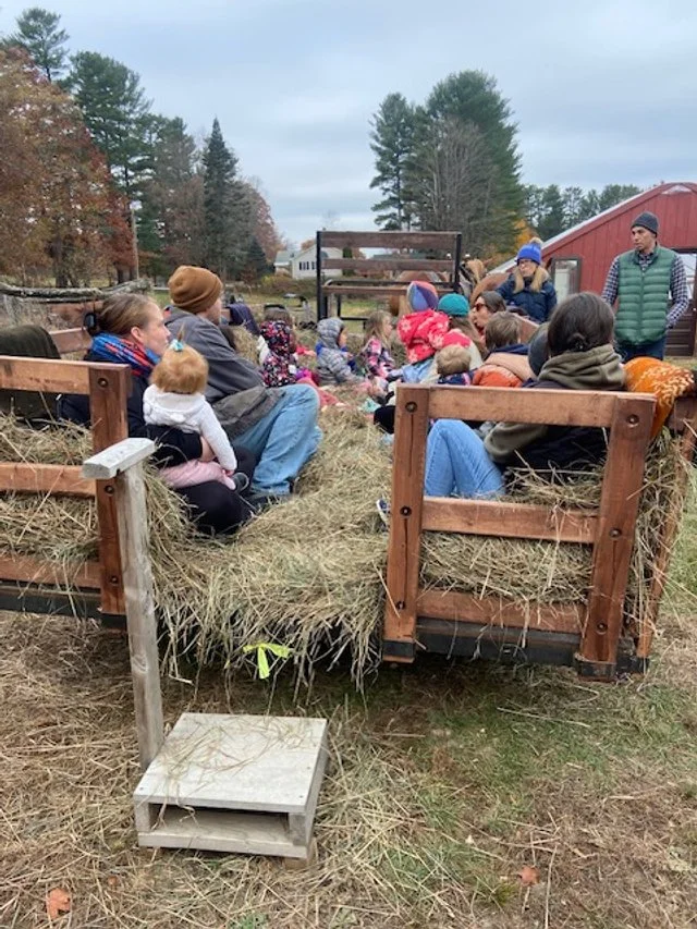 Harvest Fun: Winston Prouty ELC's Field Trip to Wild Carrot Farm — Food ...