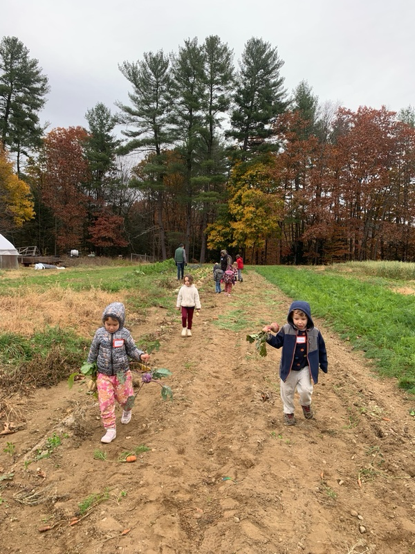 Harvest Fun: Winston Prouty ELC's Field Trip to Wild Carrot Farm — Food ...