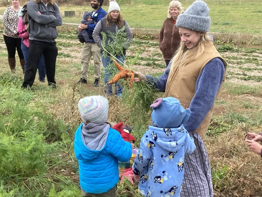 Harvest Fun: Winston Prouty ELC's Field Trip to Wild Carrot Farm — Food ...