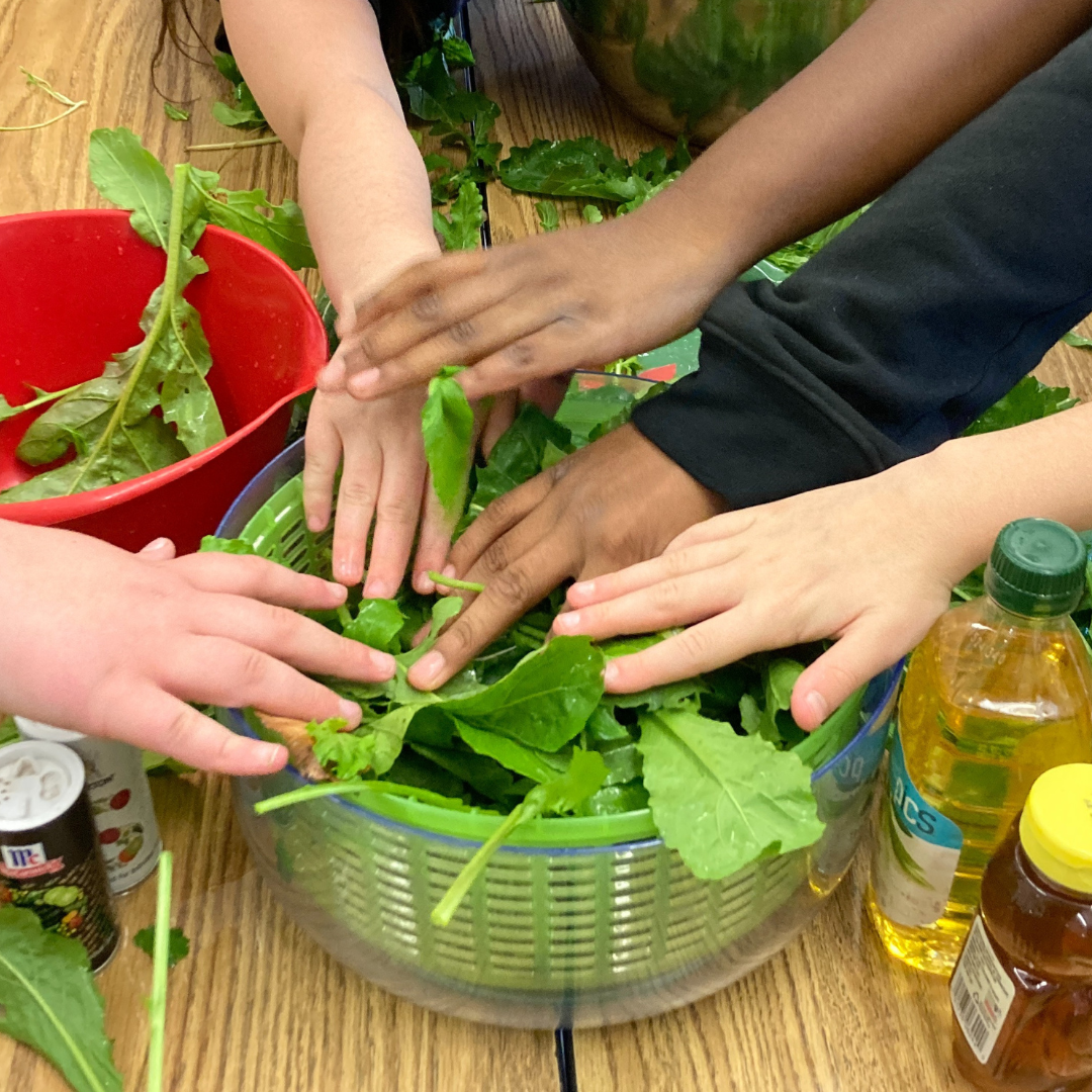 Expanding Trauma-Informed Trainings — Food Connects