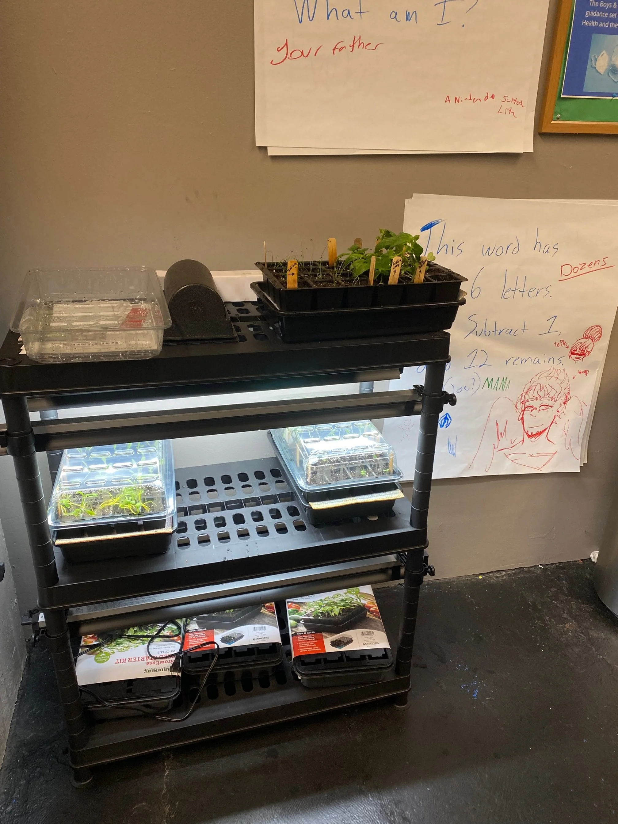 Food Explorers — Food Connects