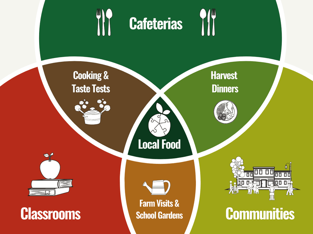 About Our Farm to School Program — Food Connects