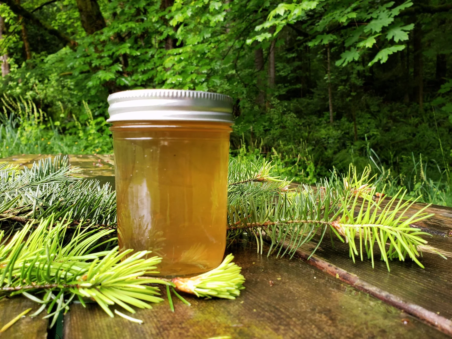 Fir Needle Simple Syrup — Cedar Dell Forest Farm