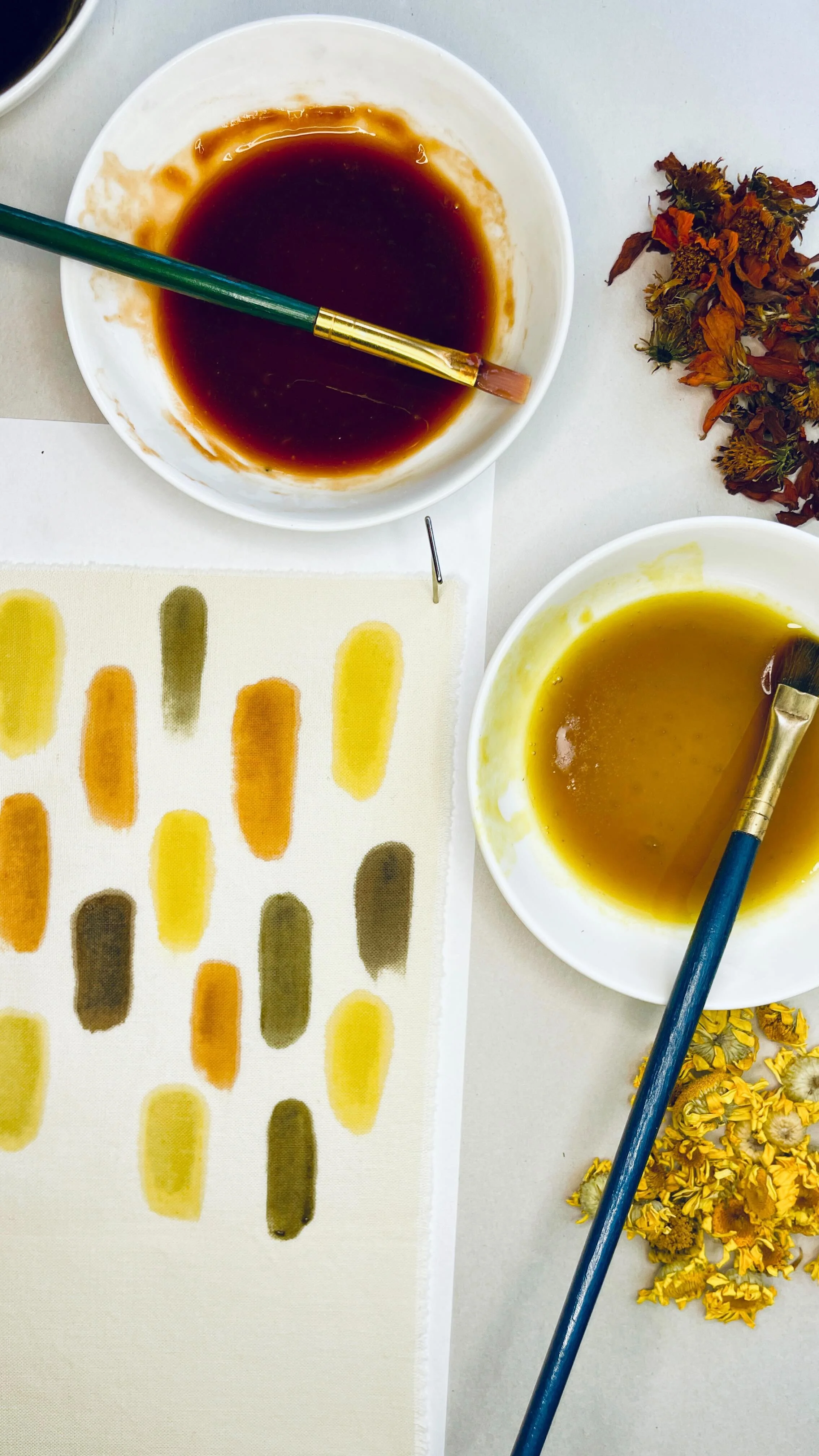 Solar Dyeing with Local Plants — Cedar Dell Forest Farm