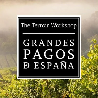 Grandes Pagos De España Launches Spanish Terroir Workshop Led By Top ...