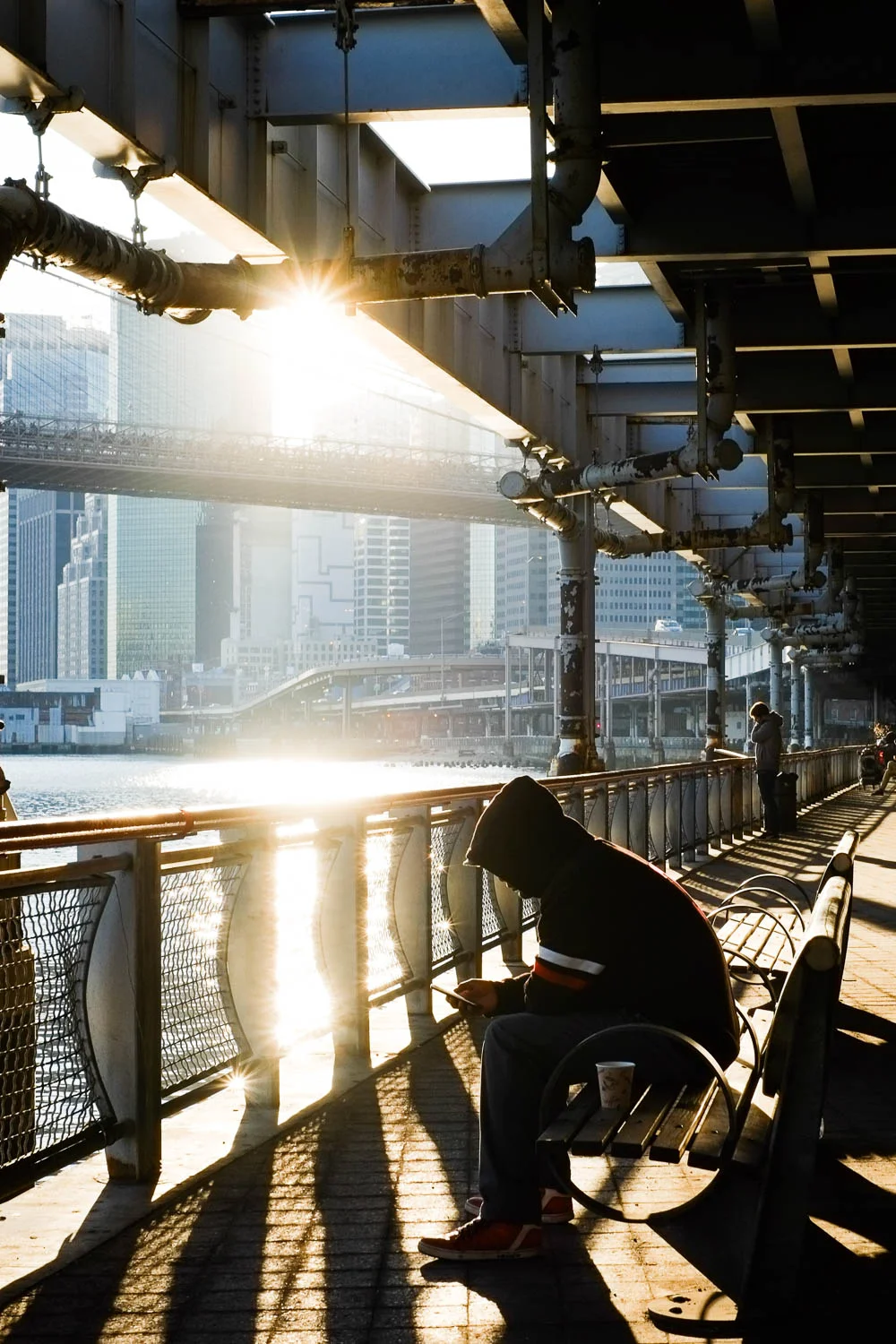 Fuji X-pro1 Review: Photography is Fun Again! — Shark & Palm