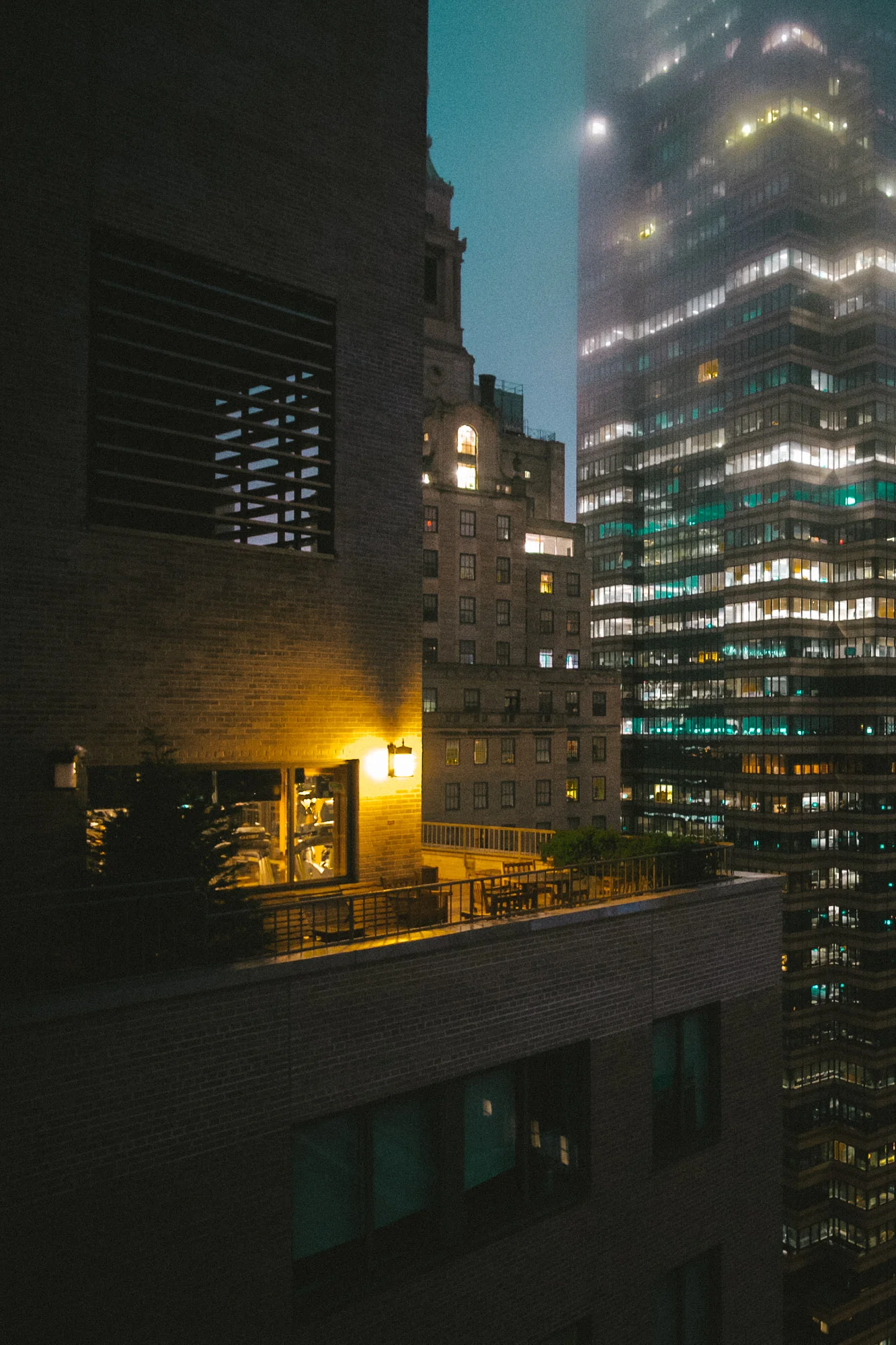 Fuji X-pro1 Review: Photography is Fun Again! — Shark & Palm