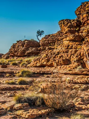 How First Nations Innovation is Shaping Australia’s Environmental ...