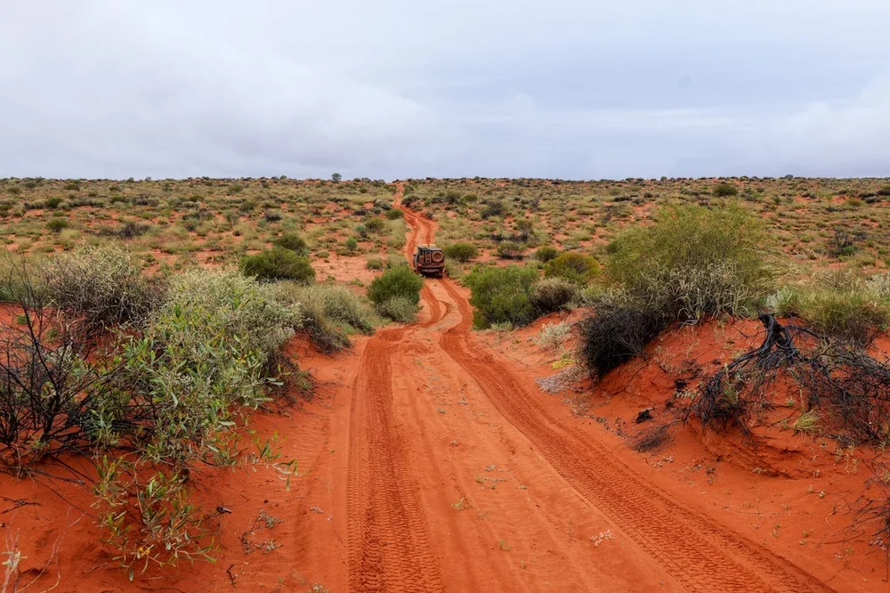 How First Nations Innovation is Shaping Australia’s Environmental ...