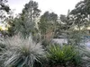 Tiny Forests: Australia's Green Revolution in Urban Spaces — Matters ...