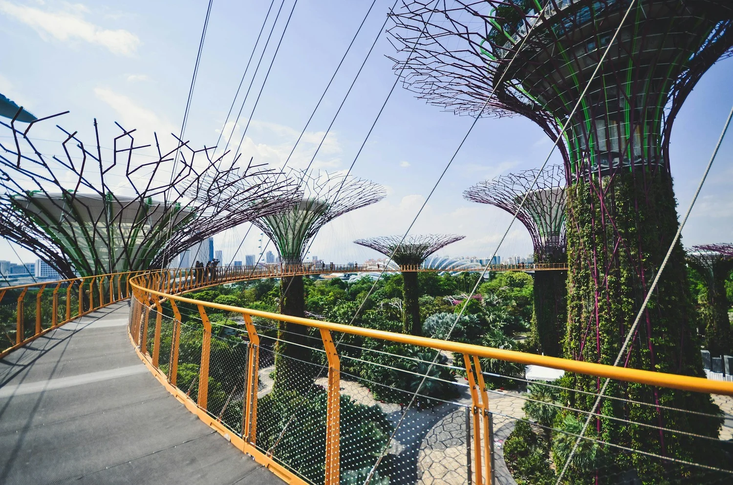 Reimagining Urban Spaces for Wildlife: From Bin Chickens to Skyscraper ...