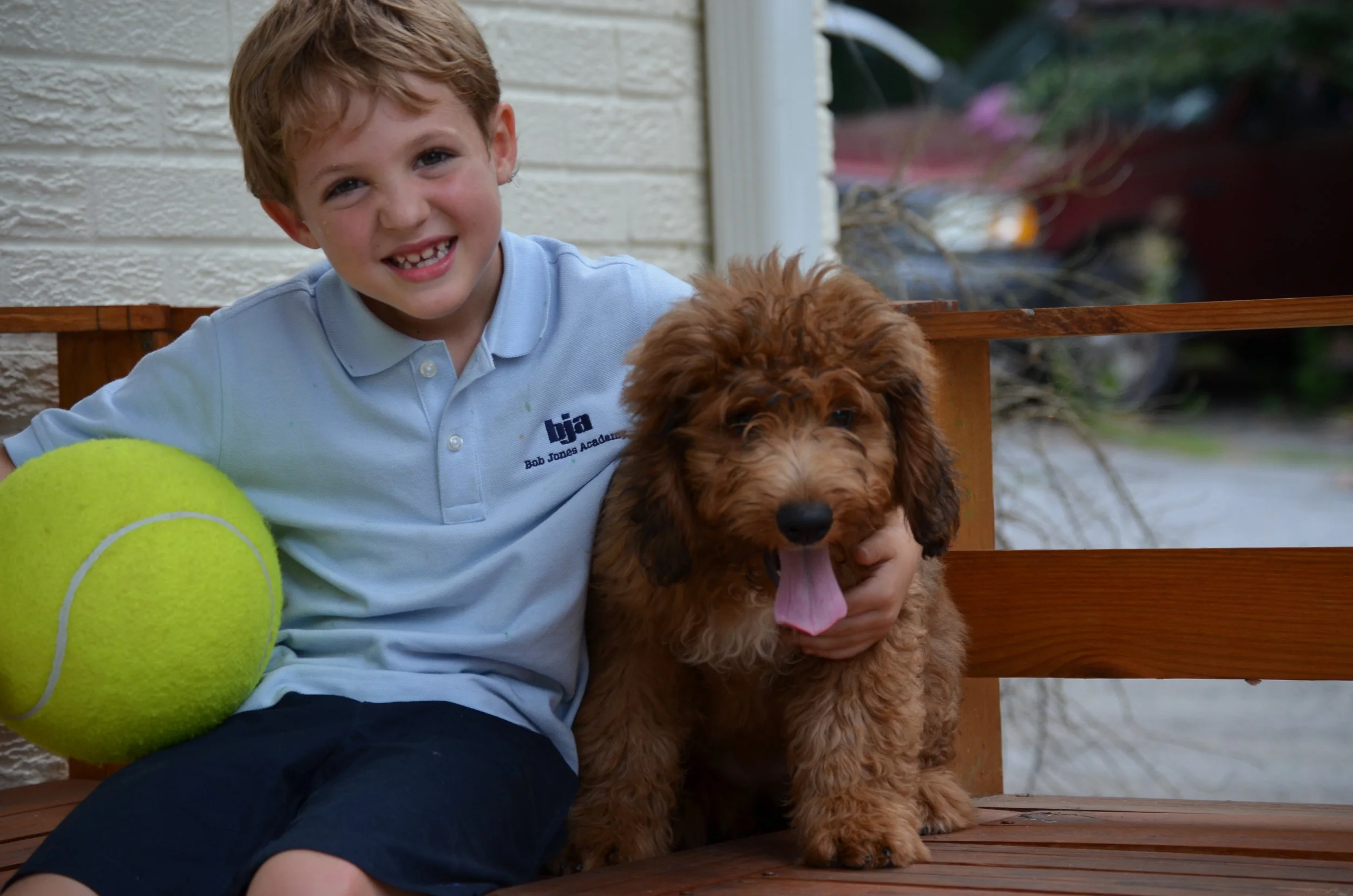 Families — Best Bernedoodles