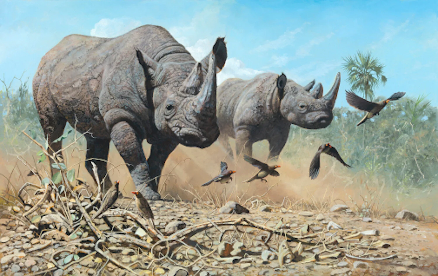 Craig Bone Craig Bone Upcoming Exhibitions and Shows