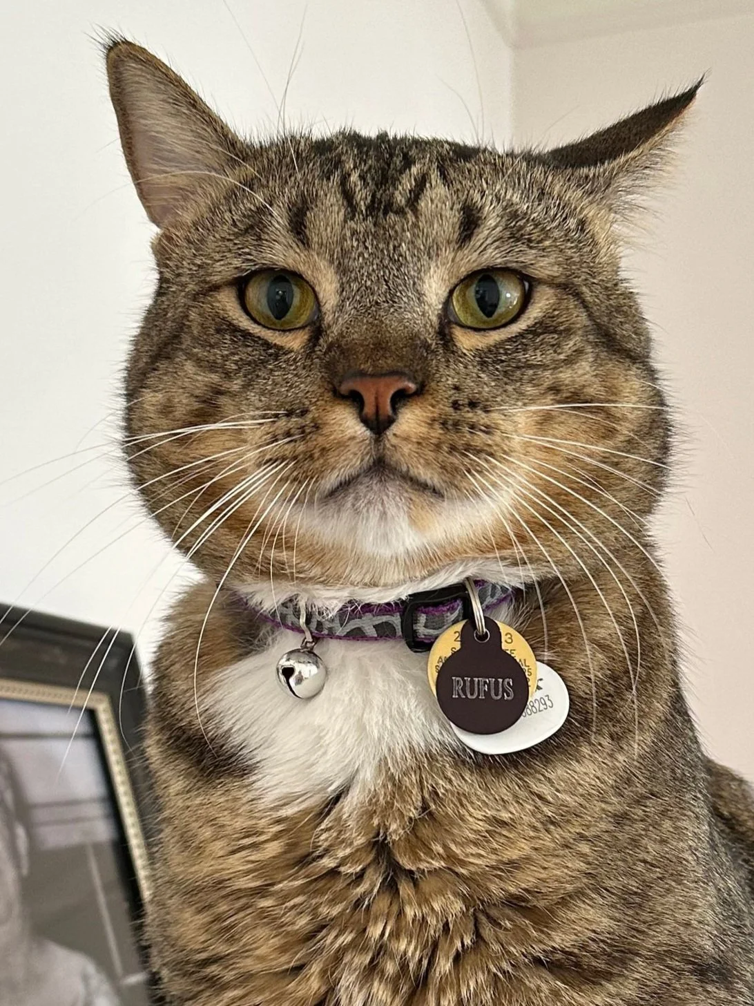 Team — JOHANNA MASKO | Artist + Designer