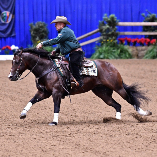 Episode 100 NRHA $6 Million Reiner Shawn Flarida — Because of Horses