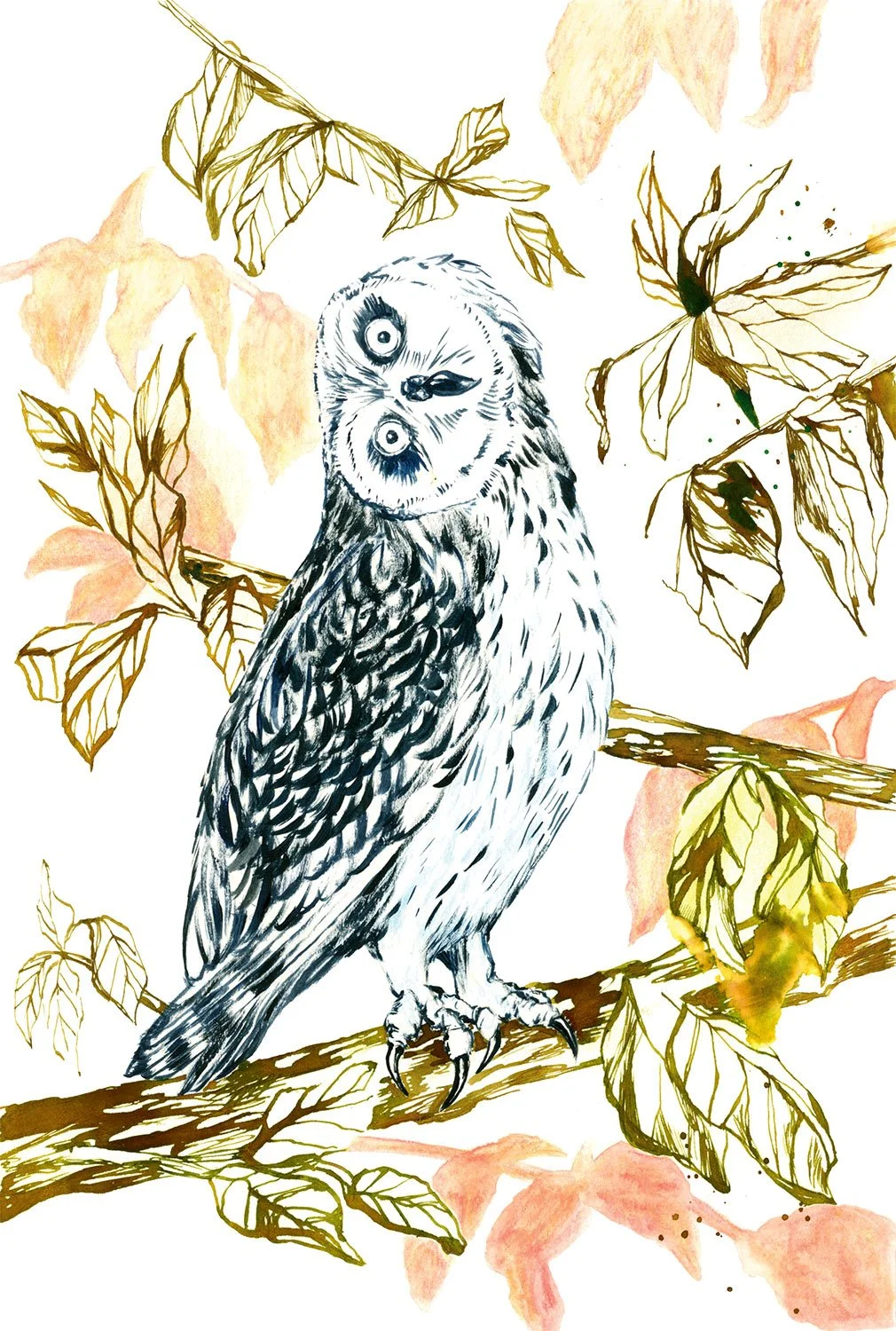 Sharon Farrow — Cards, Prints, and Gifts