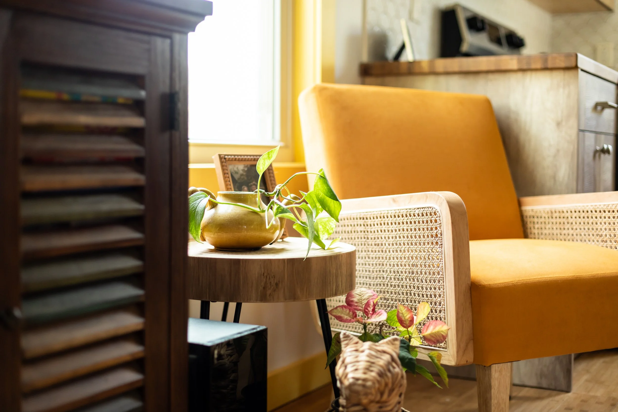 Portfolio — hillytree design