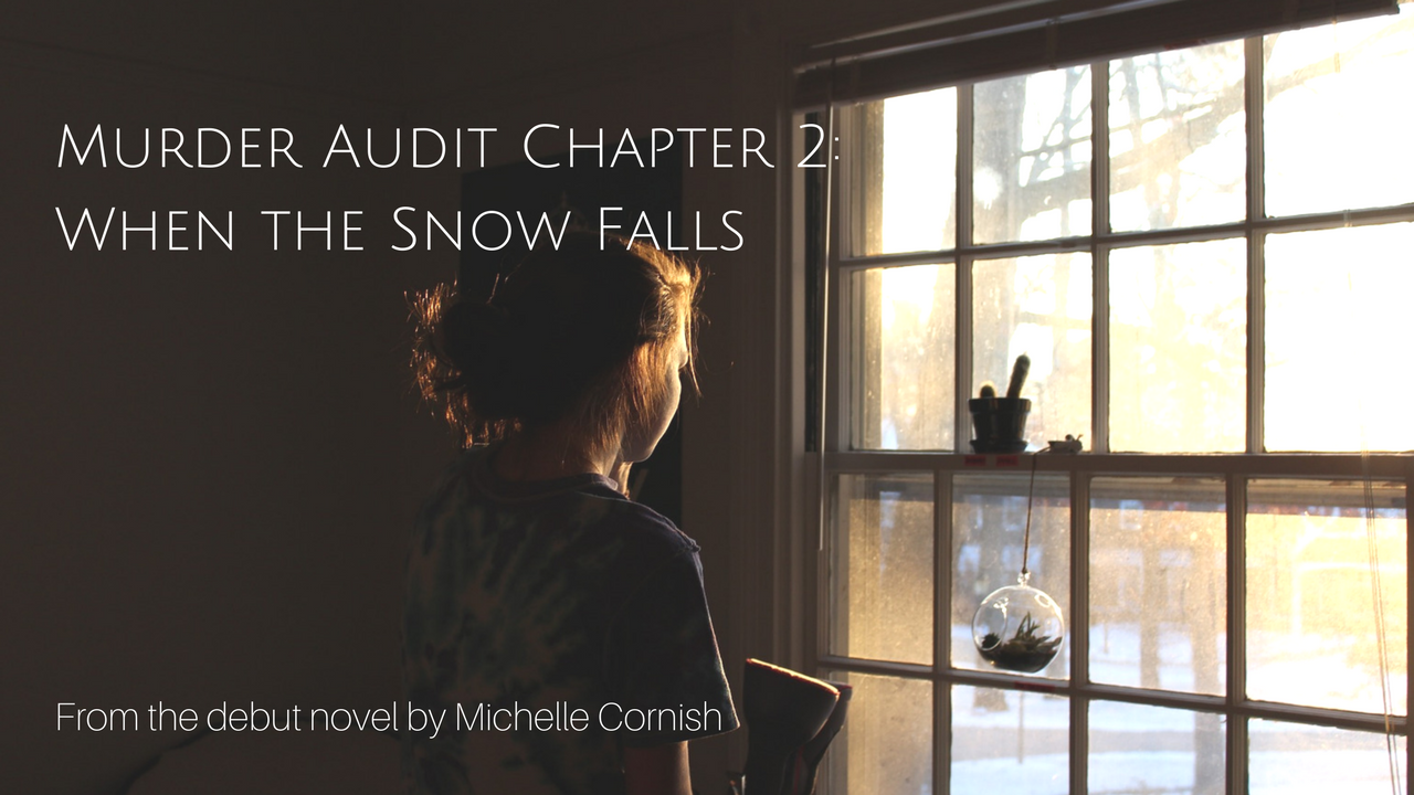 Murder Audit Chapter 2: When the Snow Falls — Michelle Cornish ...