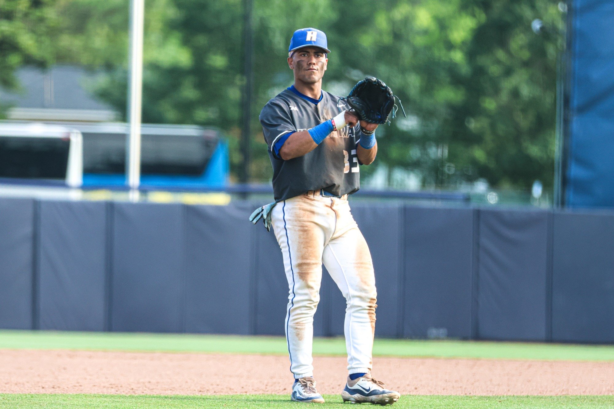 Sports — The Hofstra Chronicle