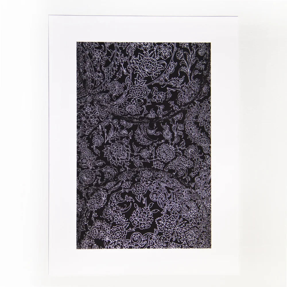 Screen Printing Fine Art