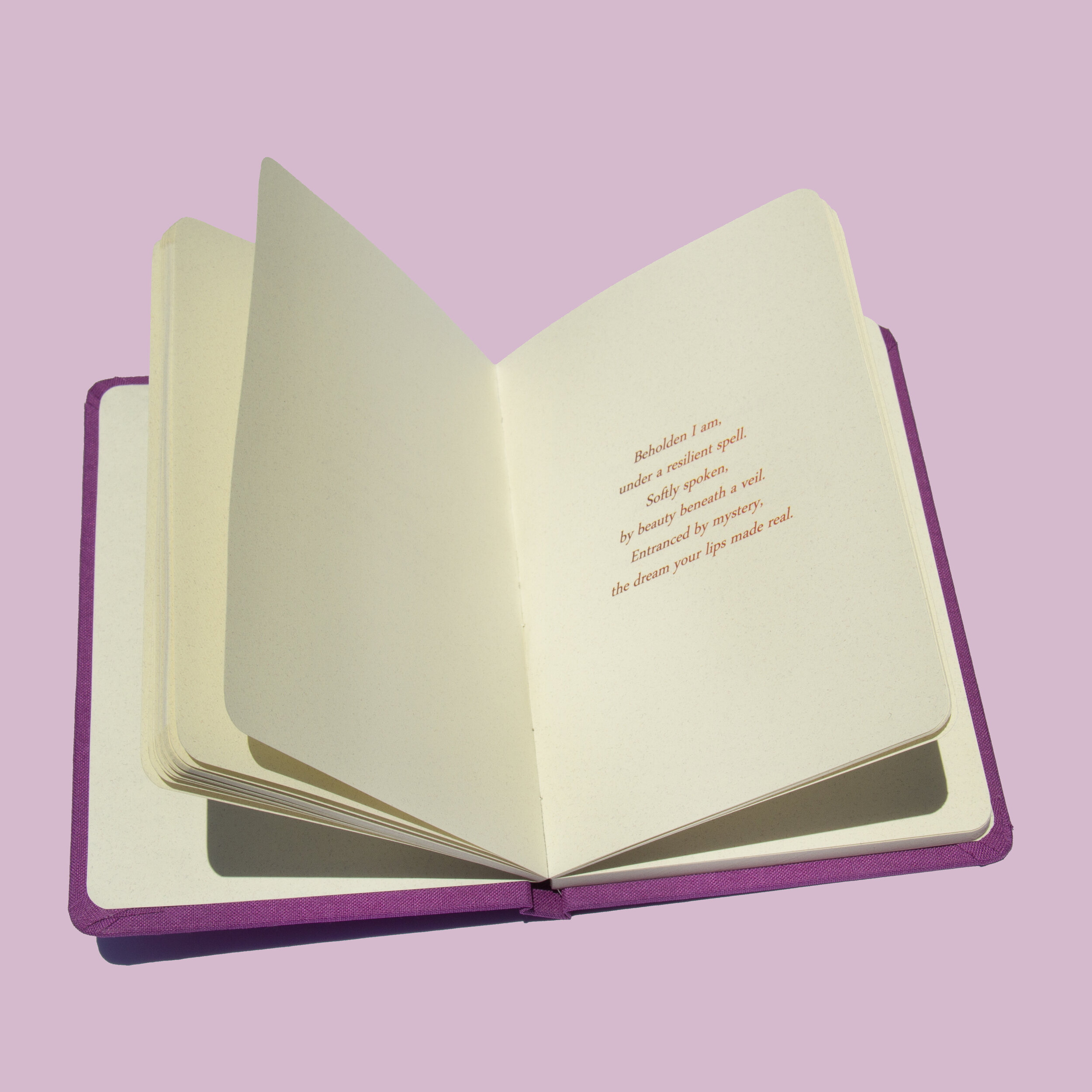 Custom Book Binding — Nocturnal Press