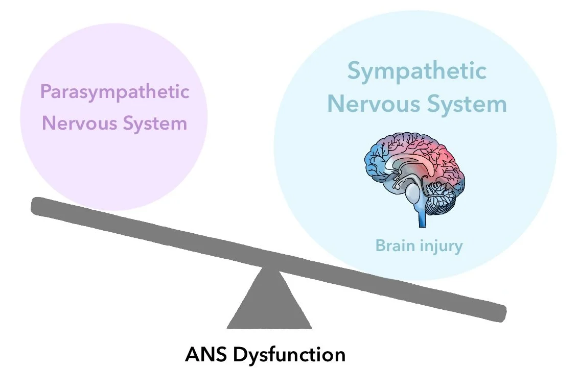 About Concussions — Concussion Alliance