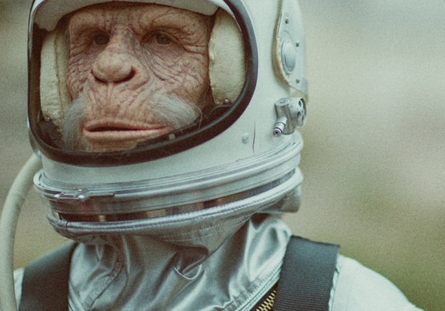 Monkeys In Space Nasa