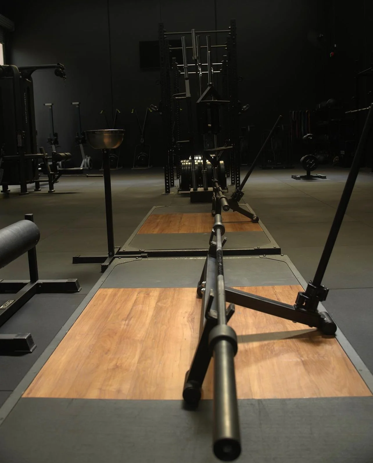 OUR GYM — IRON VIKING GYM