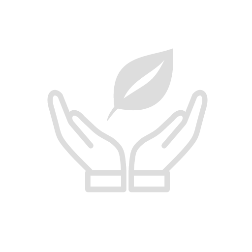 iEV Z — iEV Motors