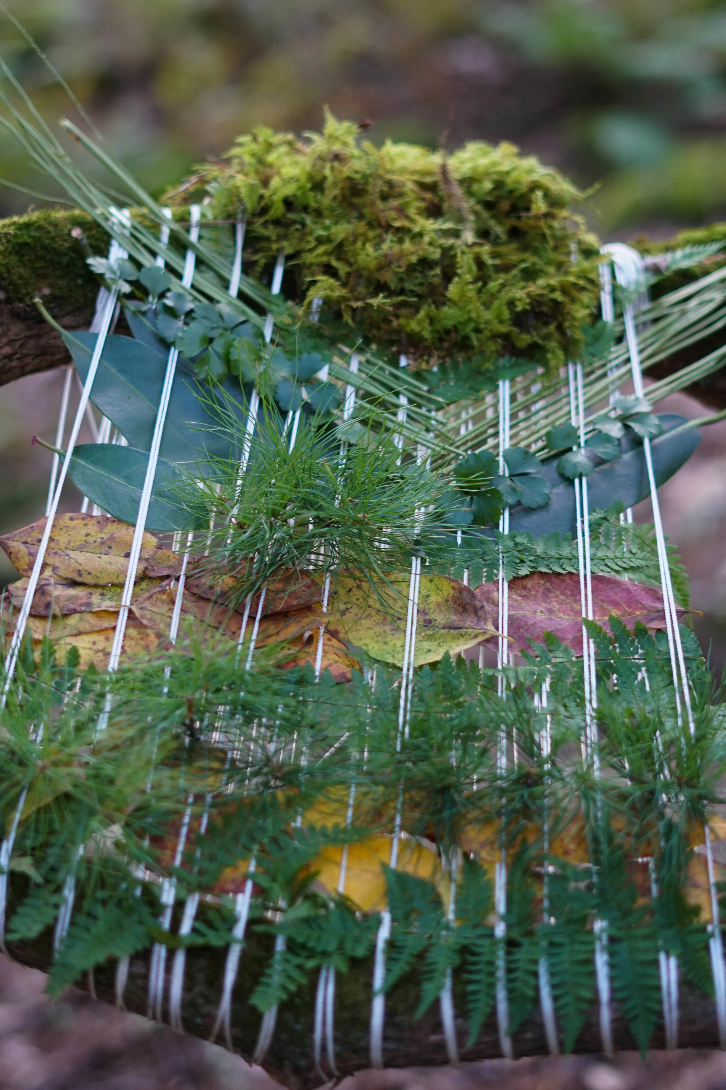 tree weaving...treaving? — kelsey holtaway