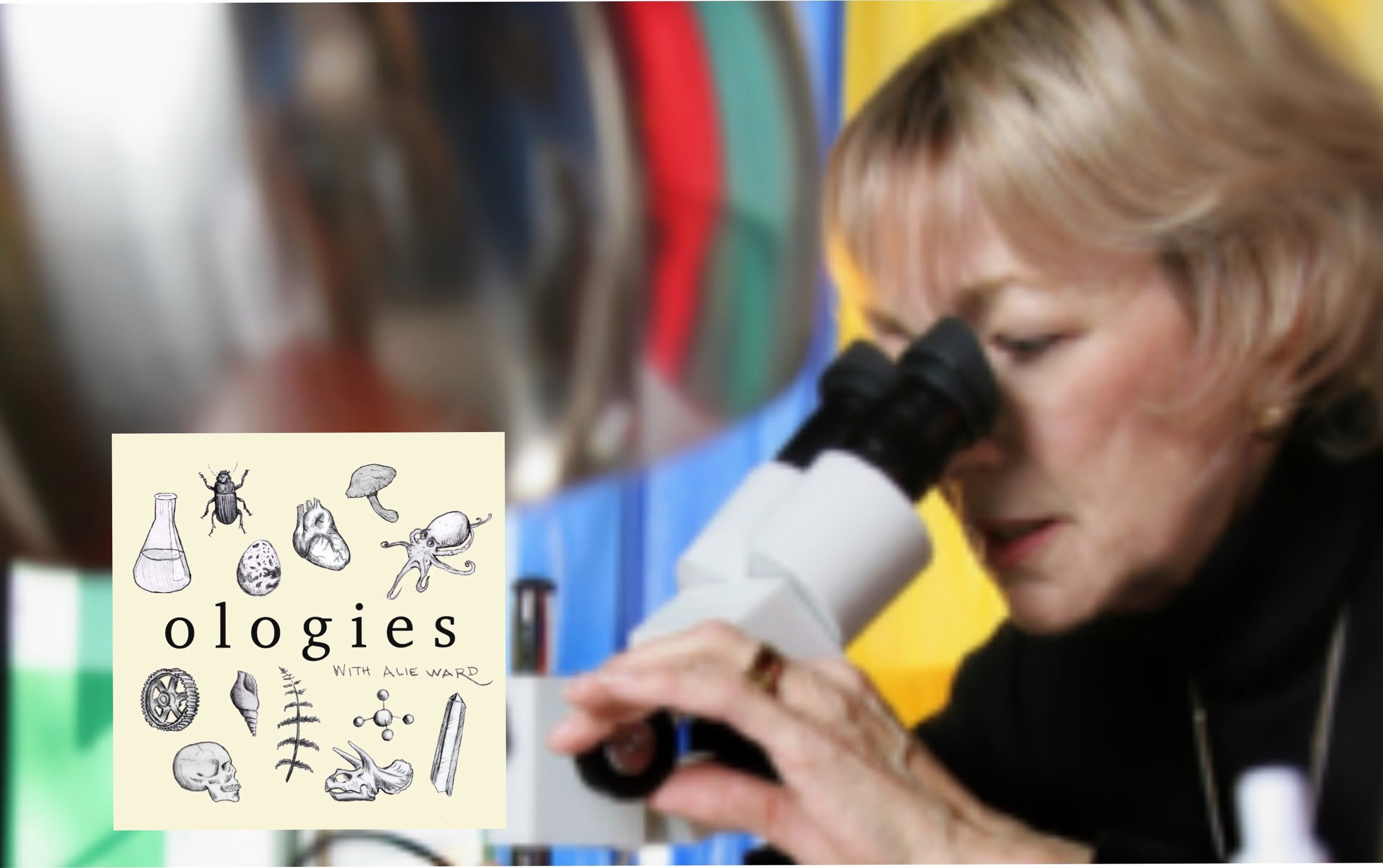 Graphology HANDWRITING FORGERY With Sylvia Kessler Alie Ward