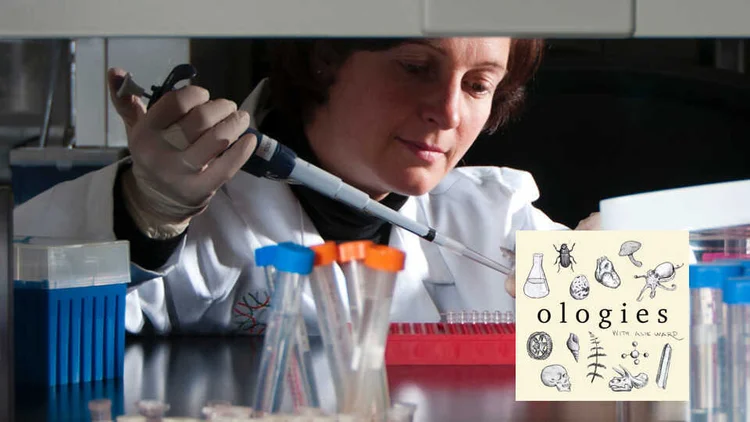 Virology (COVID-19) with Dr. Shannon Bennett + various ologists — alie ward