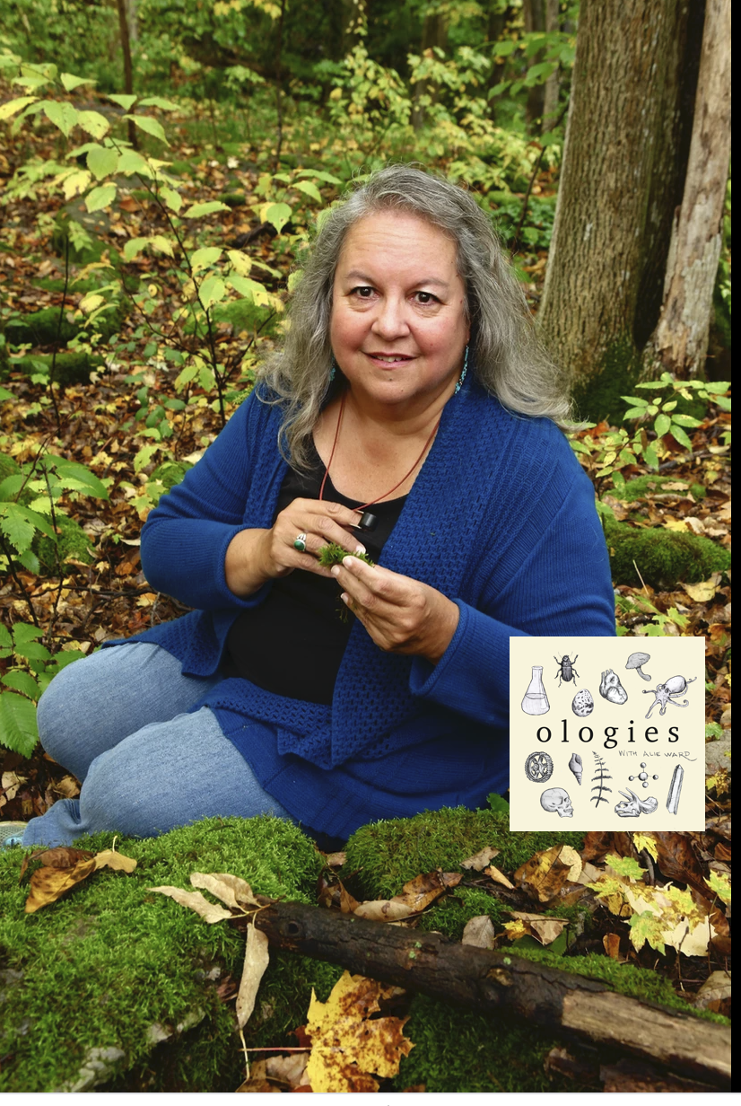 Bryology (MOSS) with Dr. Robin Wall Kimmerer — alie ward