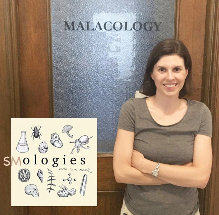 Smologies #11: SNAILS & SLUGS with Dr. Jann Vendetti — alie ward