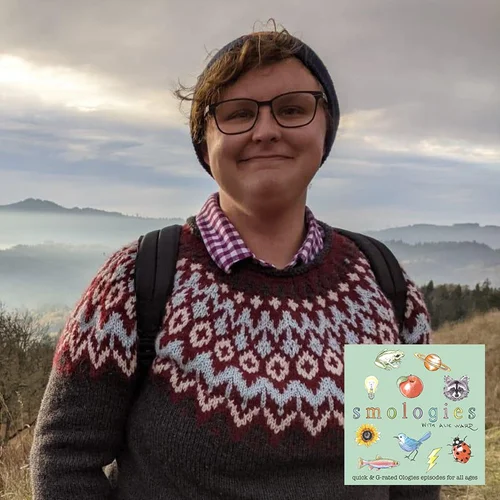 ROCKS with Schmitty Thompson — alie ward