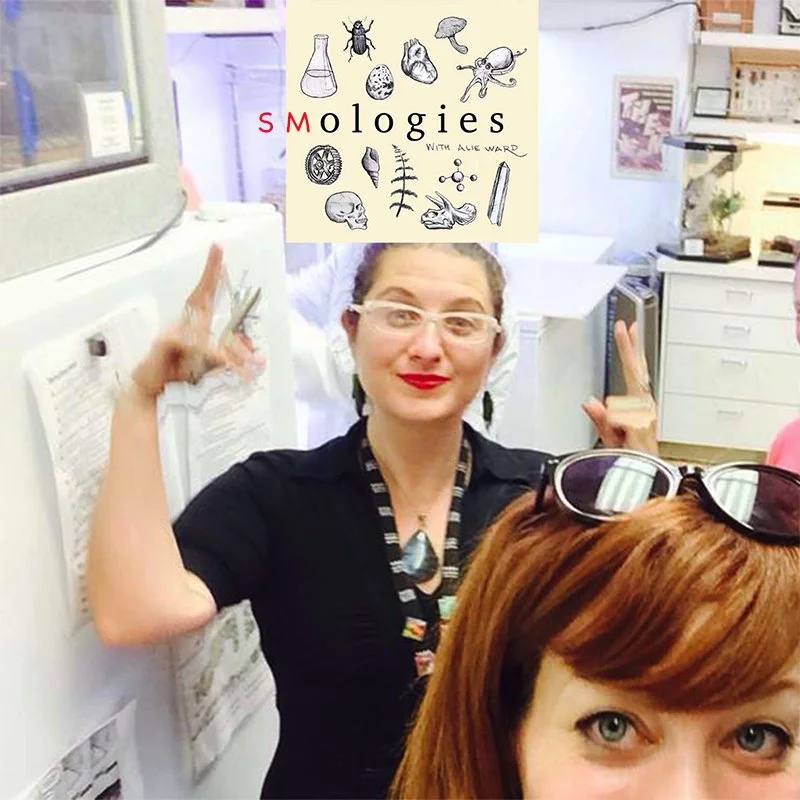 Smologies #16: INSECTS with Lila Higgins — alie ward
