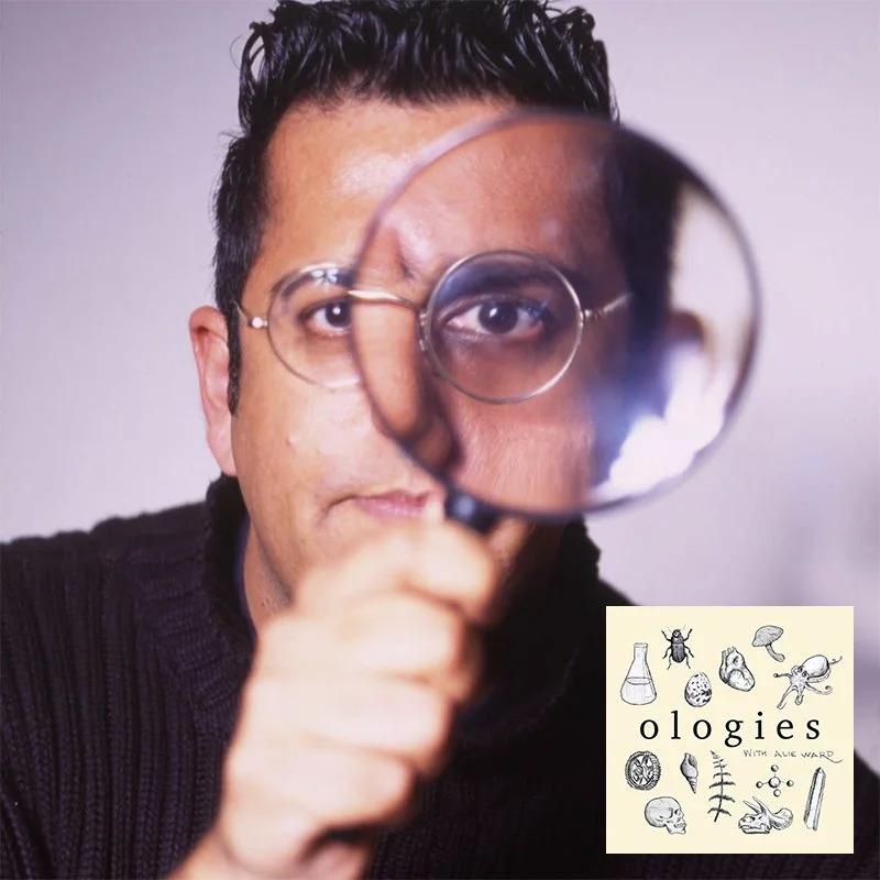 Cryptology (SECRET CODES) with Dr. Simon Singh — alie ward