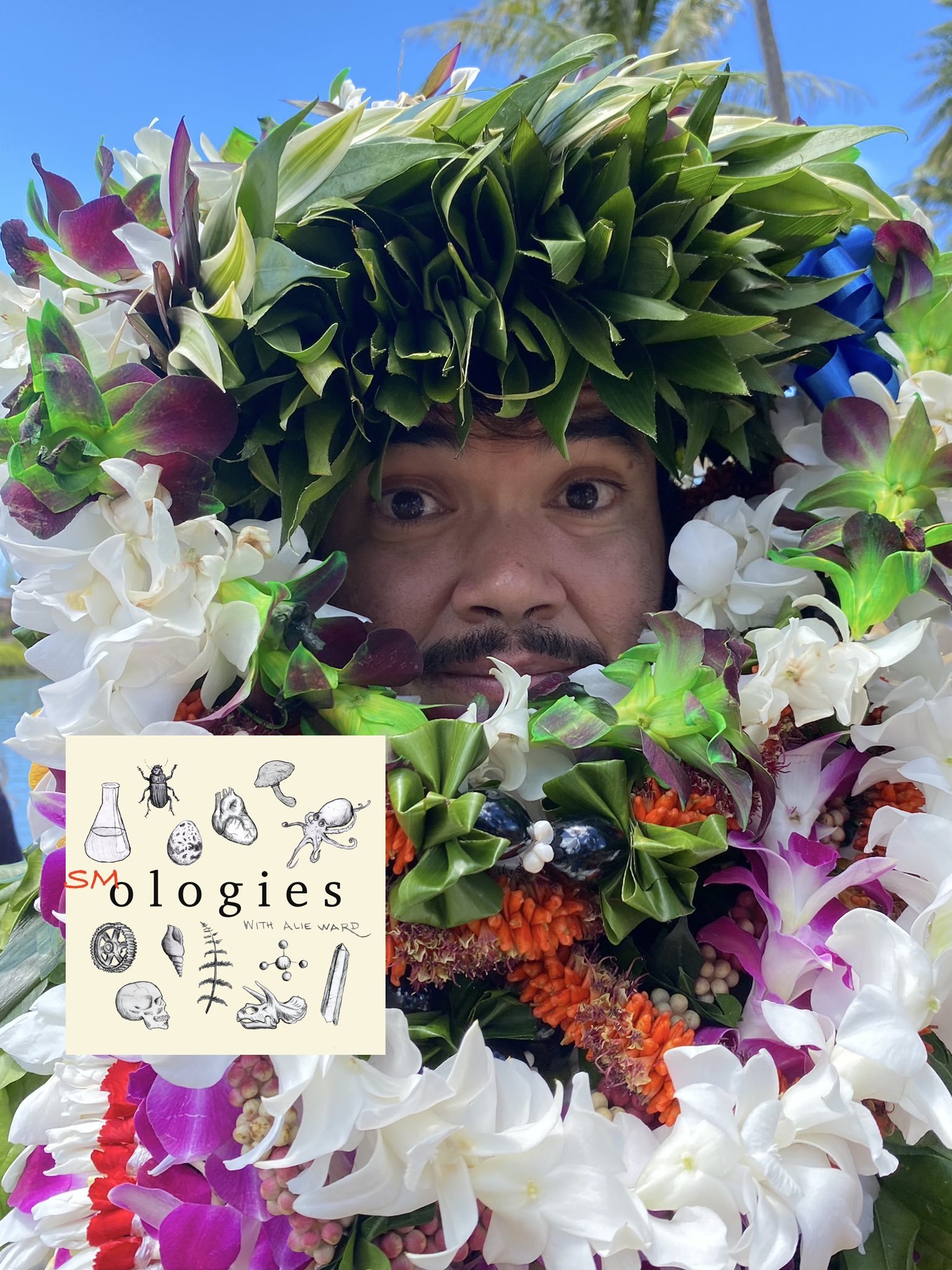 Smologies #13: CORALS with Dr. Shayle Matsuda — alie ward