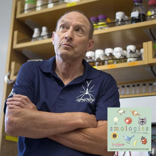 SPIDERWEBS with Dr. Randy Lewis — alie ward