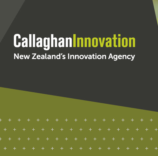 Callaghan Innovation - ‘Governance for Founders’ half-day workshop ...